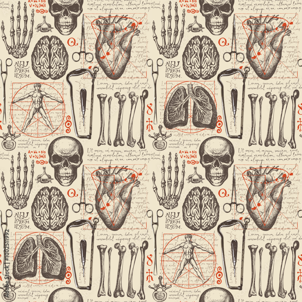 Anatomy seamless pattern with hand-drawn human skulls, bones, organs ...