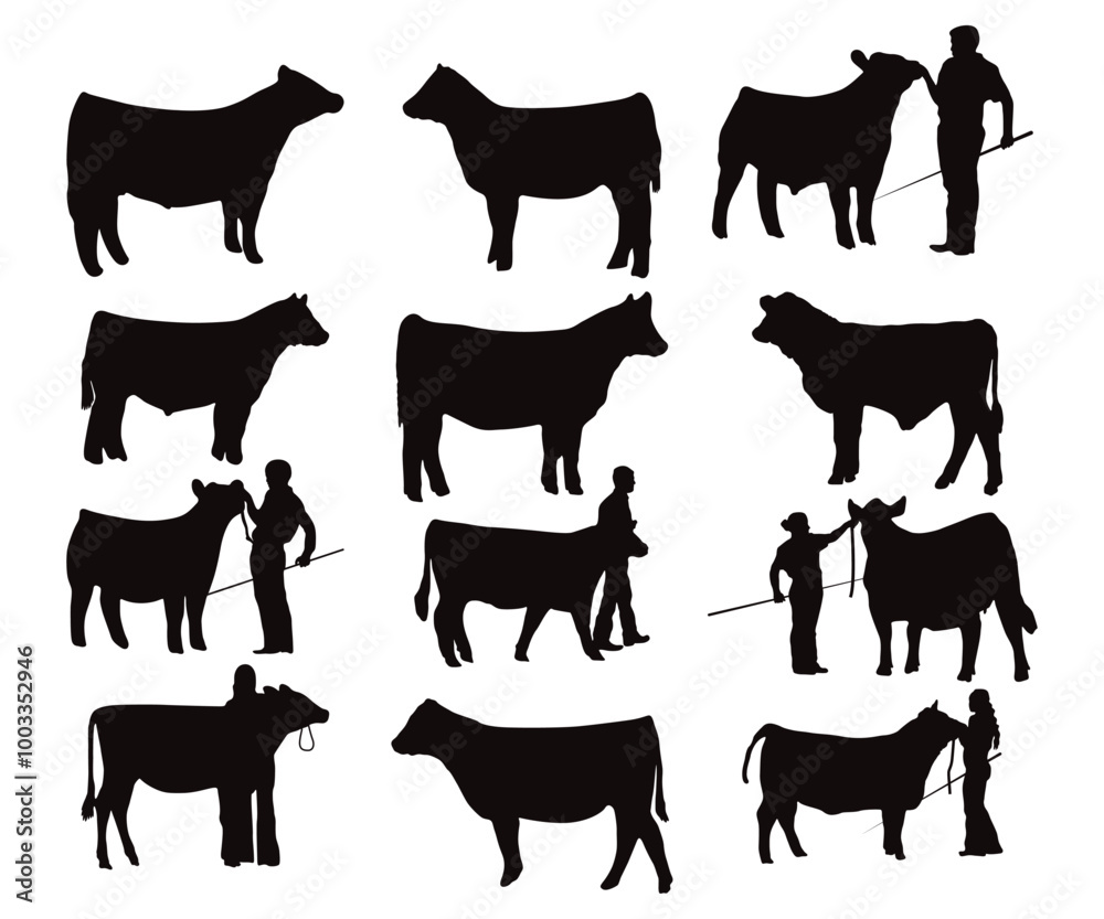 Print Show Heifer Silhouette: show heifer EPS: Livestock , Farm Animal ...