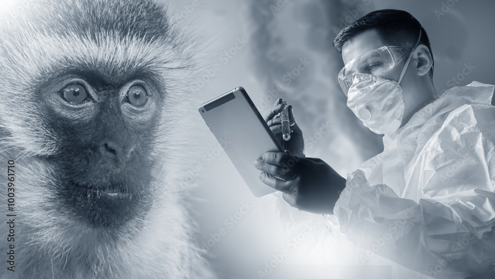Monkeypox disease. Male doctor with test tube in hand. Monkey is ...
