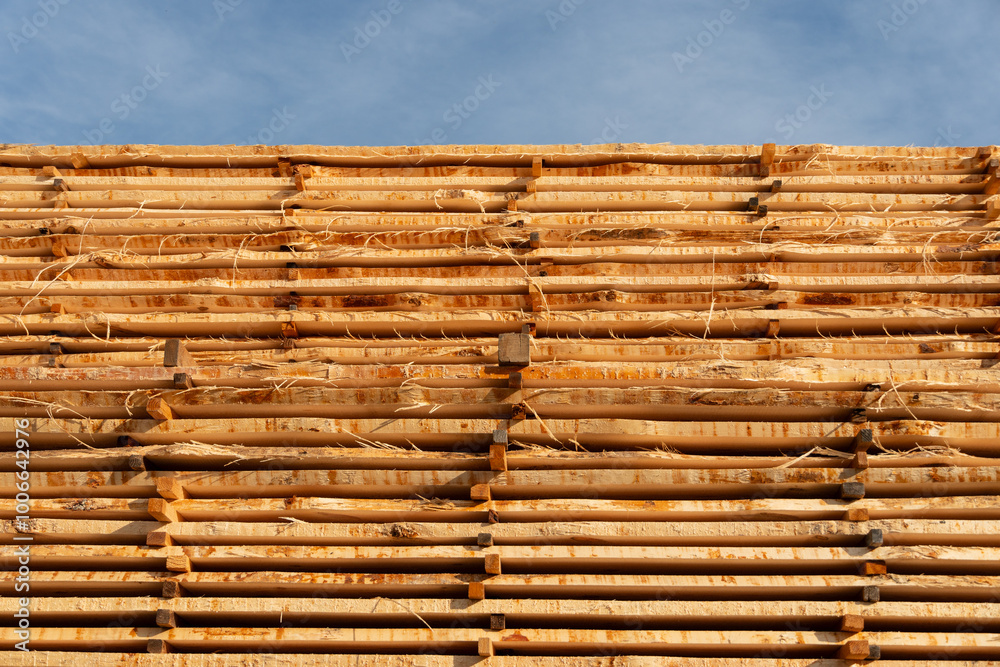 Freshly cut timber logs are stacked neatly at a lumber yard, allowing ...