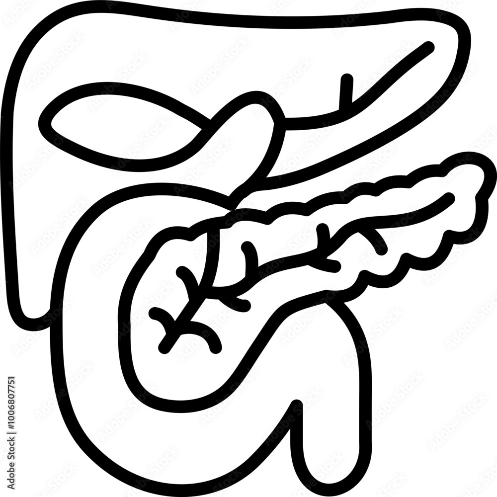 Black and white outline illustration of the human pancreas, gallbladder ...