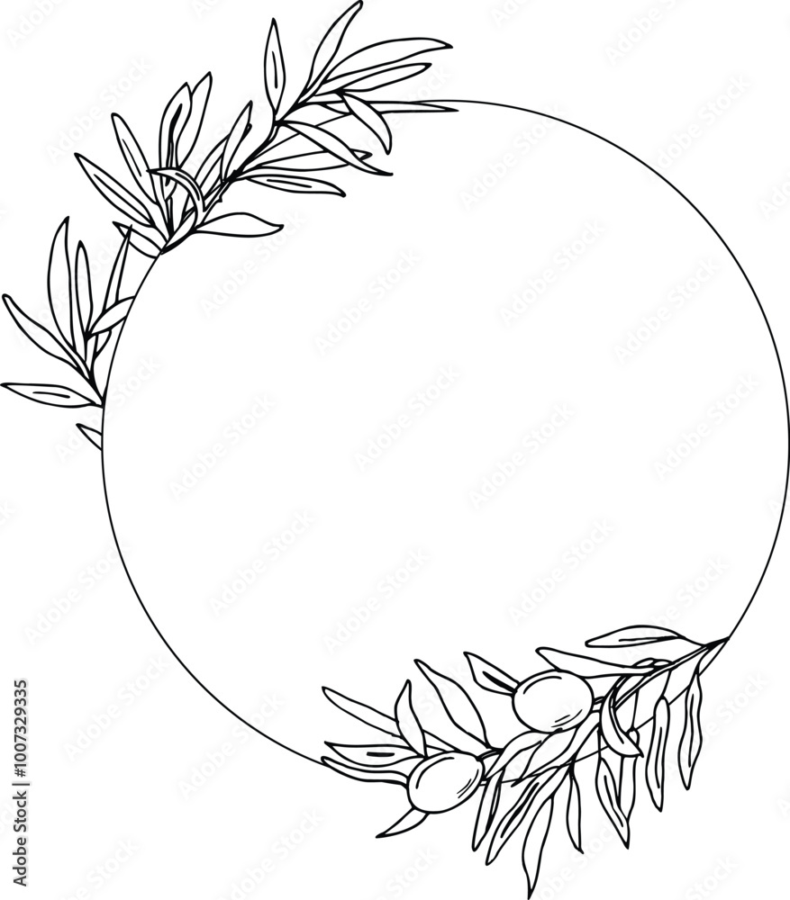 Olive Circle Frame, Wreath with Olive Branches isolated. Hand drawn ...