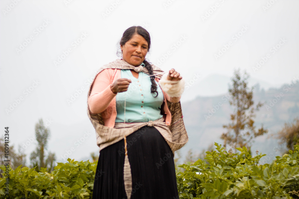 Mujer andina latinoamericana haciendo hilados de lana de oveja en el ...