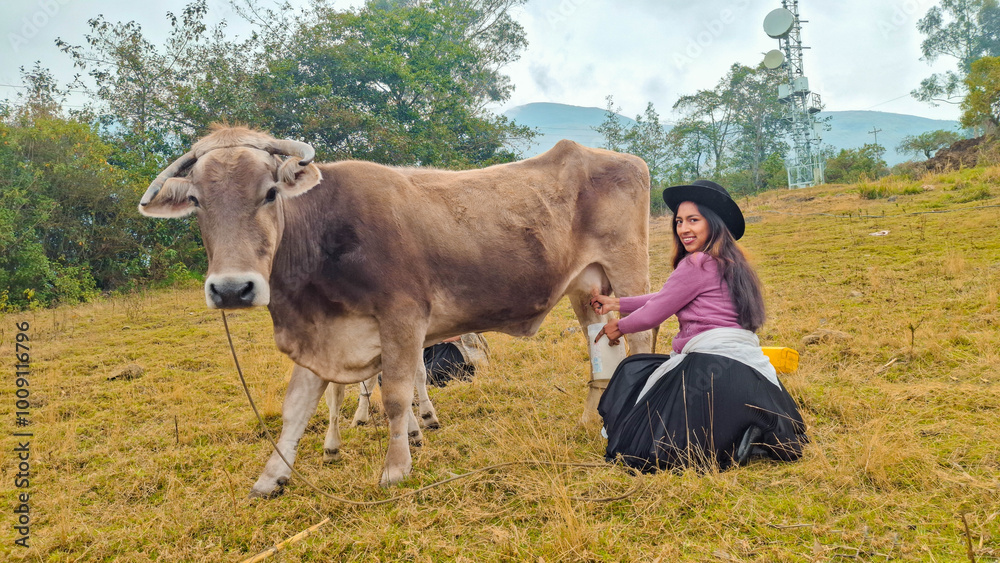 Campesina Andina en Ropa Típica Ordeñando Vaca en la Sierra.Mujer Rural ...