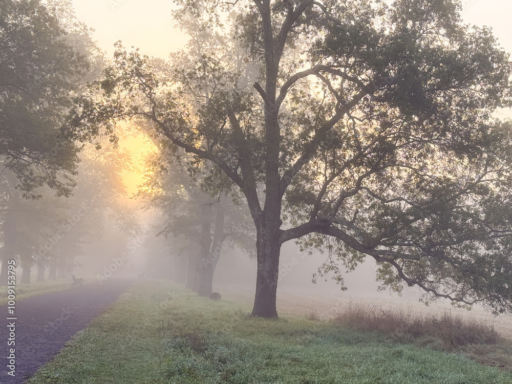 Mystical morning upstate New York. Image illustrate beauty of autumn ...