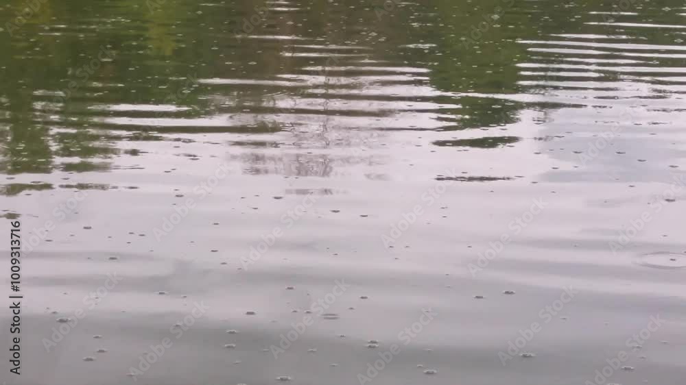 Rain falling on a lake creates expanding concentric circles on the ...