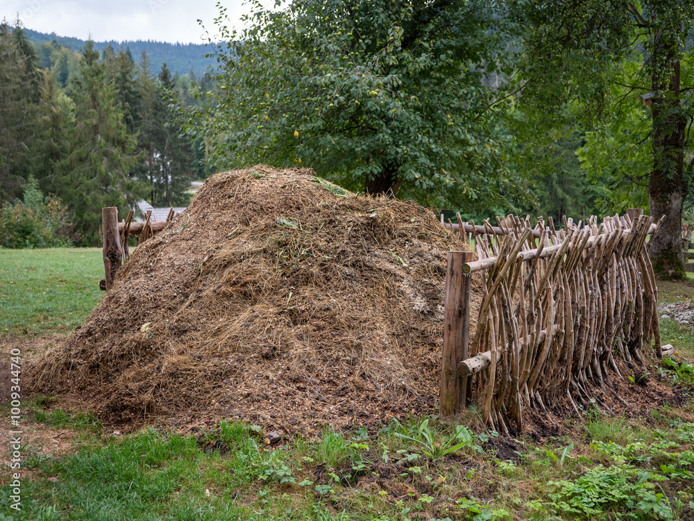 The manure pit was part of the farmstead yard. It was a space intended ...