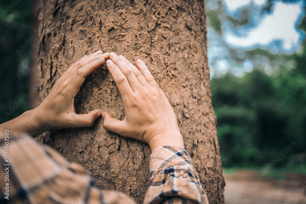 A male hand hugs a tree, symbolizing love for nature and the ...
