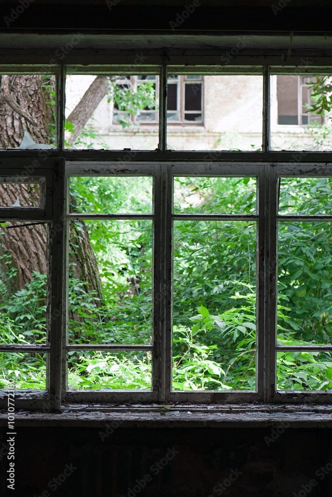 Smashed glass Window with old wooden frame. old window. finely broken ...