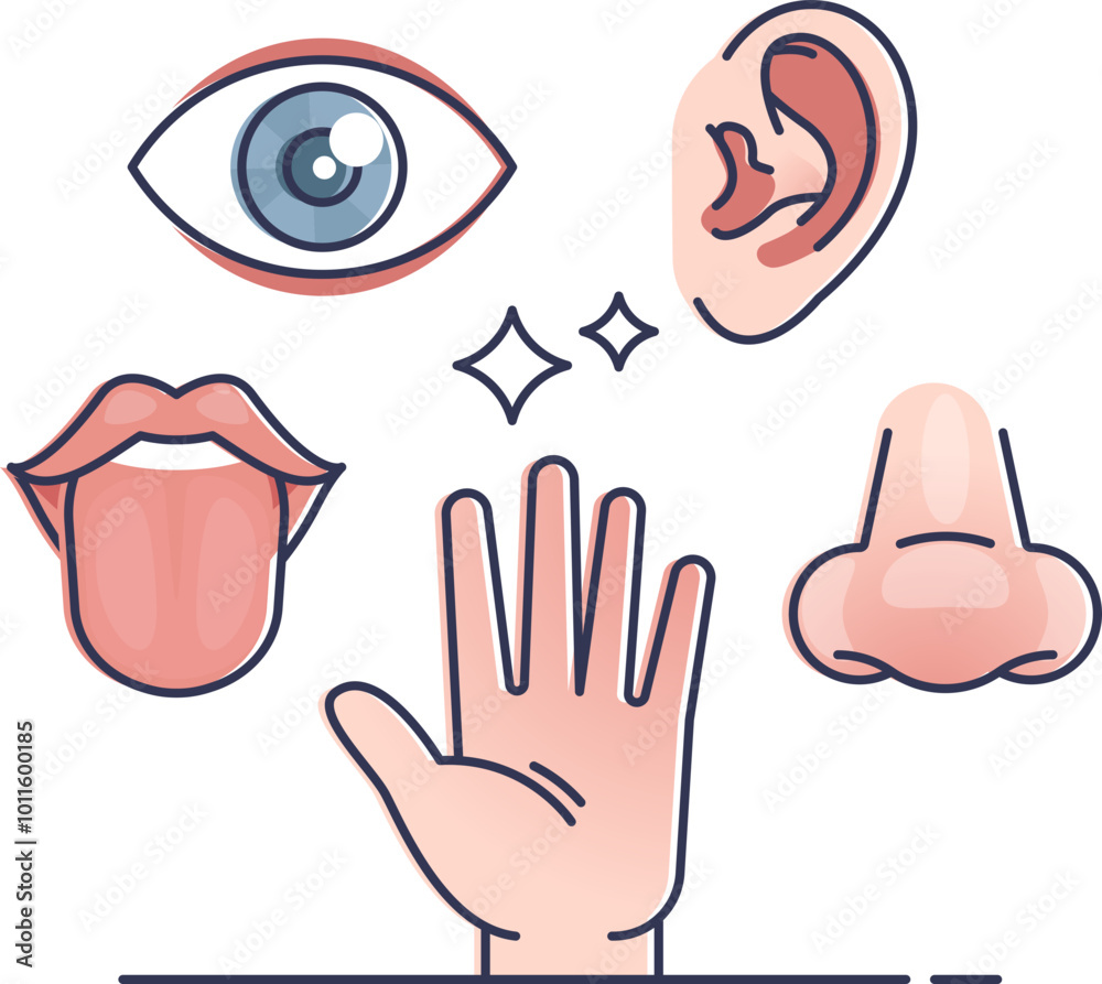 Illustration of five senses: sight, hearing, taste, touch, and smell ...