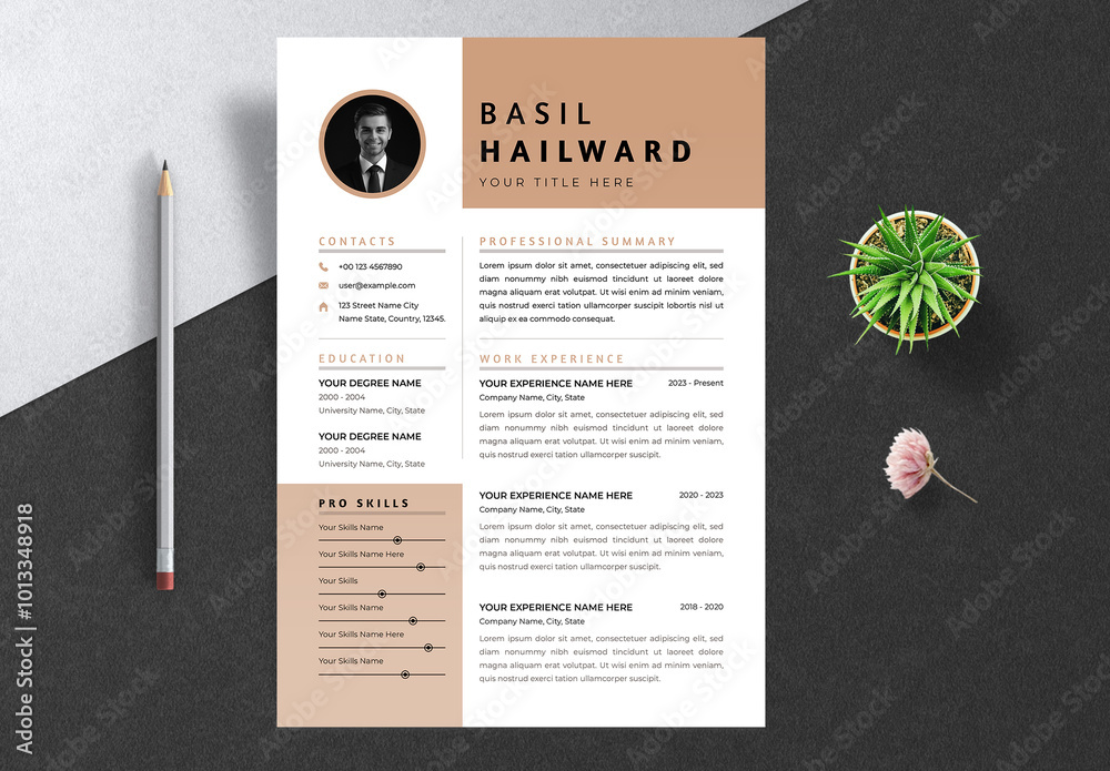 Modern Resume Template Layout Stock Template | Adobe Stock