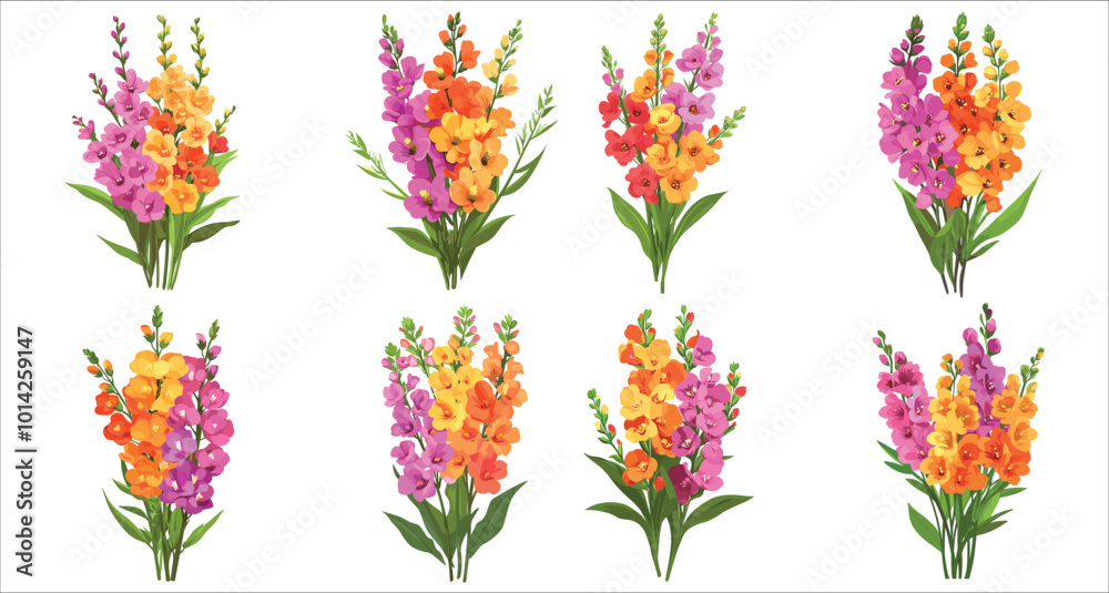 Elegant snapdragon flower vector illustrations, Beautiful snapdragon ...