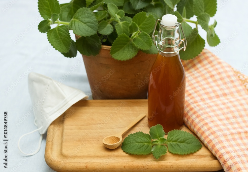 Homemade syrup made from fresh leaves of Plectranthus (Coleus ...