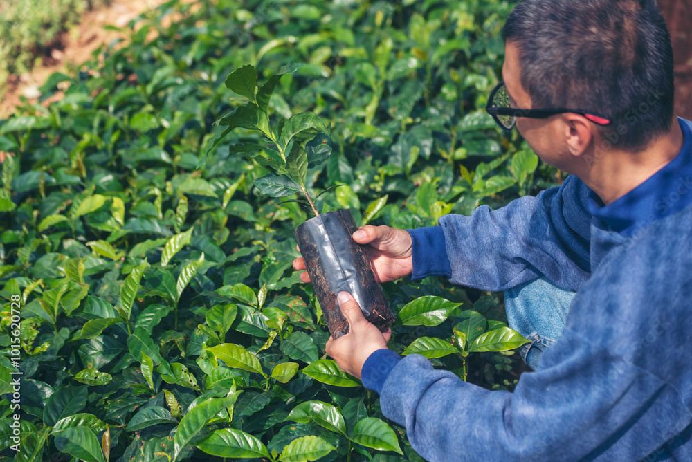 Smart farmer checking plant in eco green farm sustainable quality ...