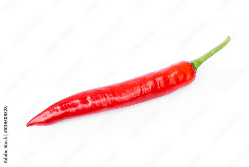 Ingredients and spices for Thai food menus. Red Sweet Long Pepper ...