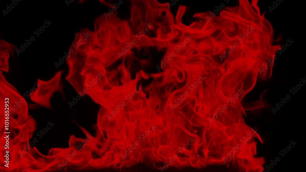 Burning red hot fire rise from large fire seamless loop. Background of ...