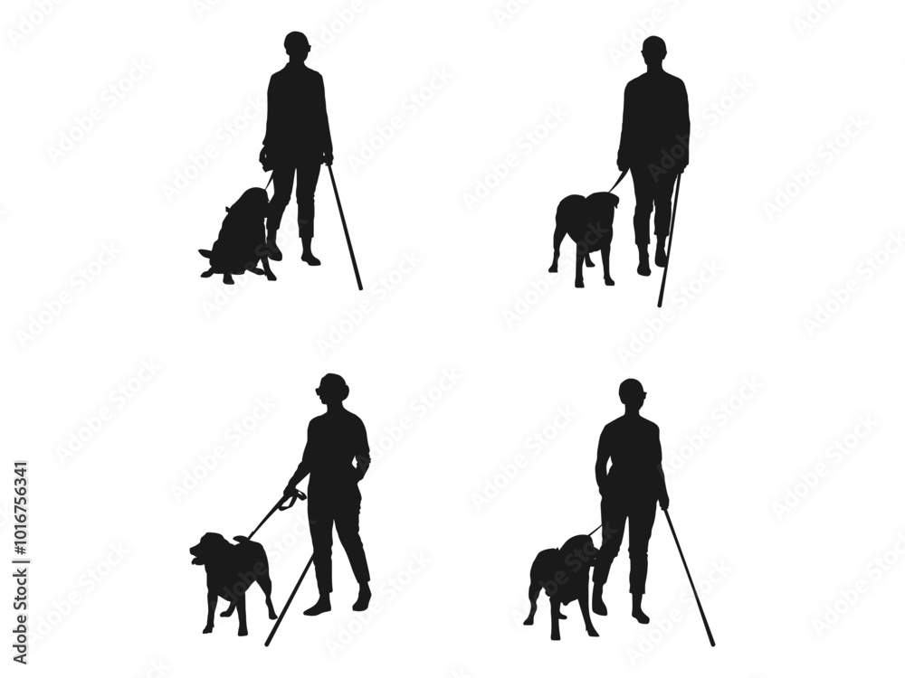 young blind woman with guide dog. Silhouette of Woman Walking Her Dog ...