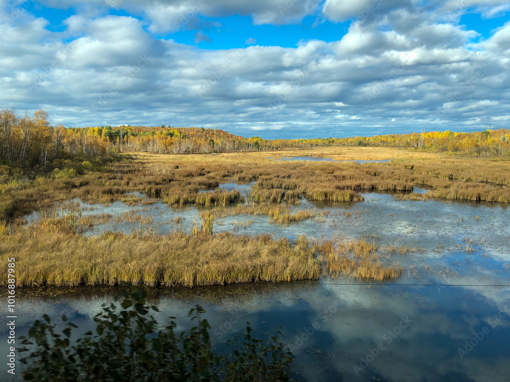 Ponds in an open forest landscape between Montreal and Vancouver ...