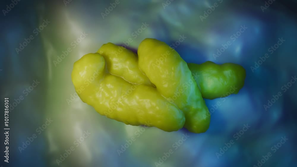 Campylobacter jejuni bacteria close-up of microscopic view created in ...