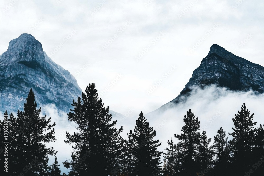 At the top of maple pass hike in north cascades national park in ...