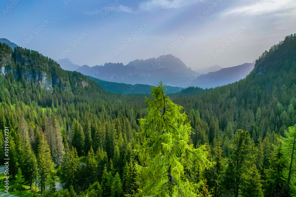 Snake Road in the Dolomites. Sunrise aerial forest. Pathway from Snake ...