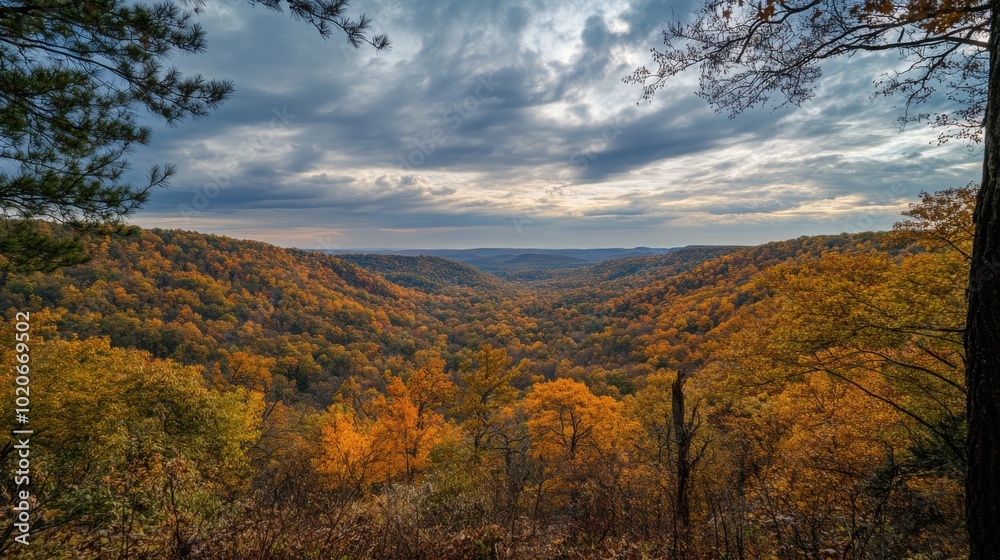 Autumn in Mark Twain National Forest captured with a Nikon D850 ...