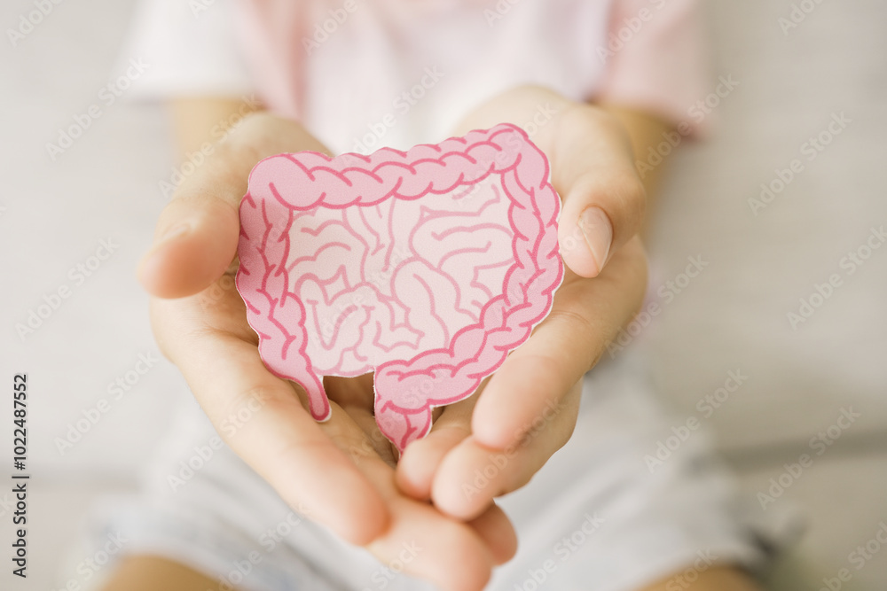 Preteen girl hands holding intestine shape, healthy bowel digestion ...