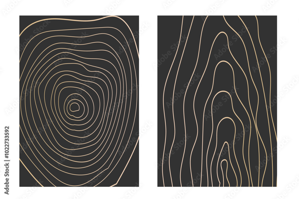 Golden thin line tree ring collection. Elegant gold wooden section ...