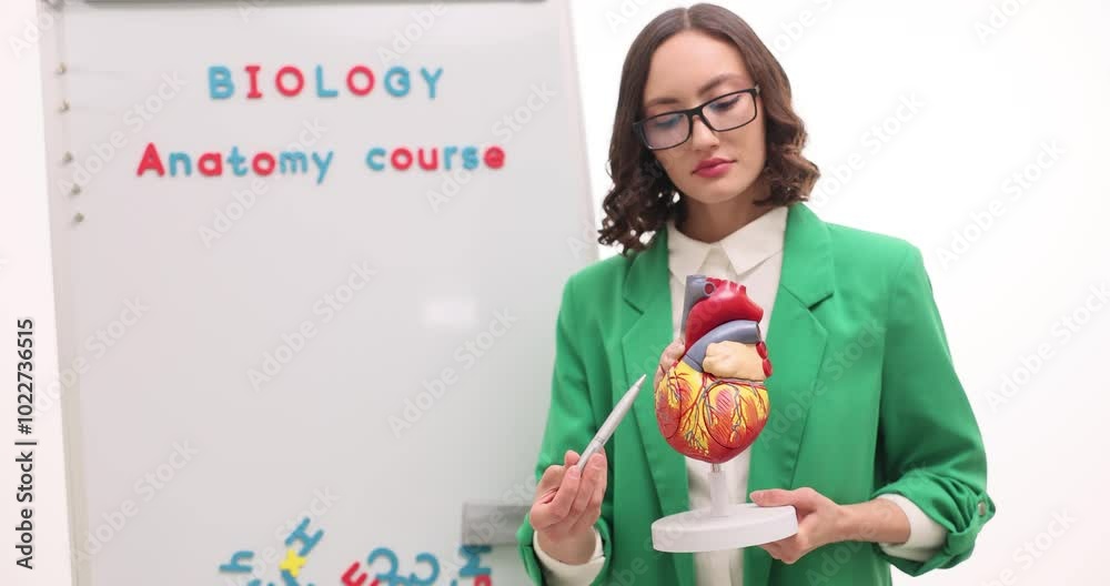 Young woman biology teacher holds detailed model of heart on white ...