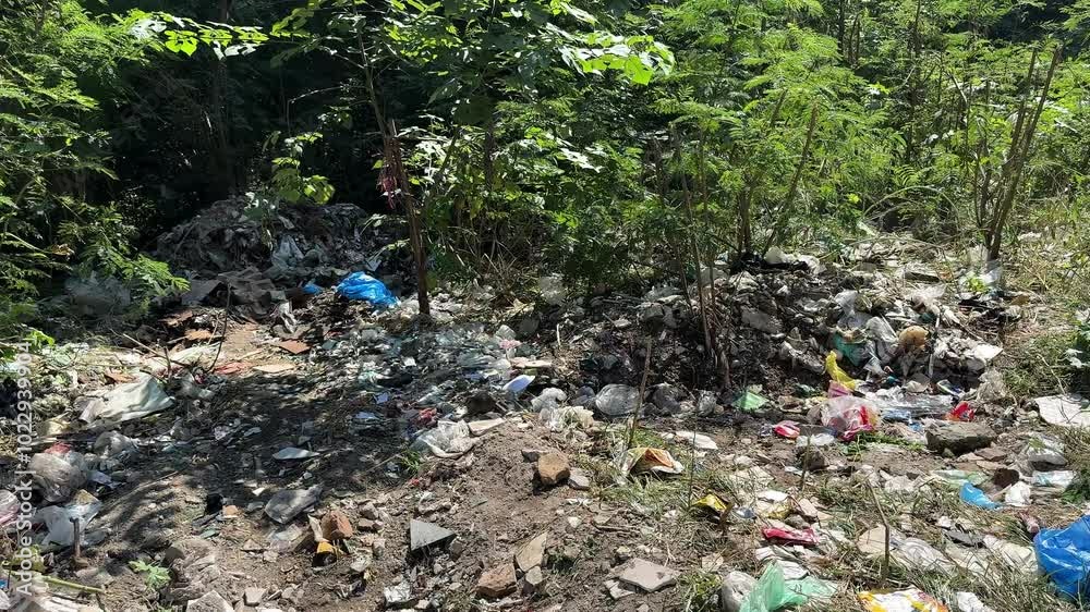 Waste landfill located near a forest. Plastic waste in forest. Trash in ...