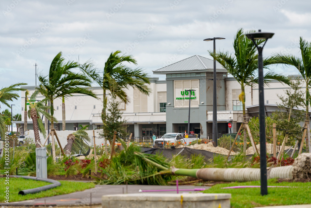Publix Supermarket demolished by a tornado from Hurricane Milton Stock Photo | Adobe Stock