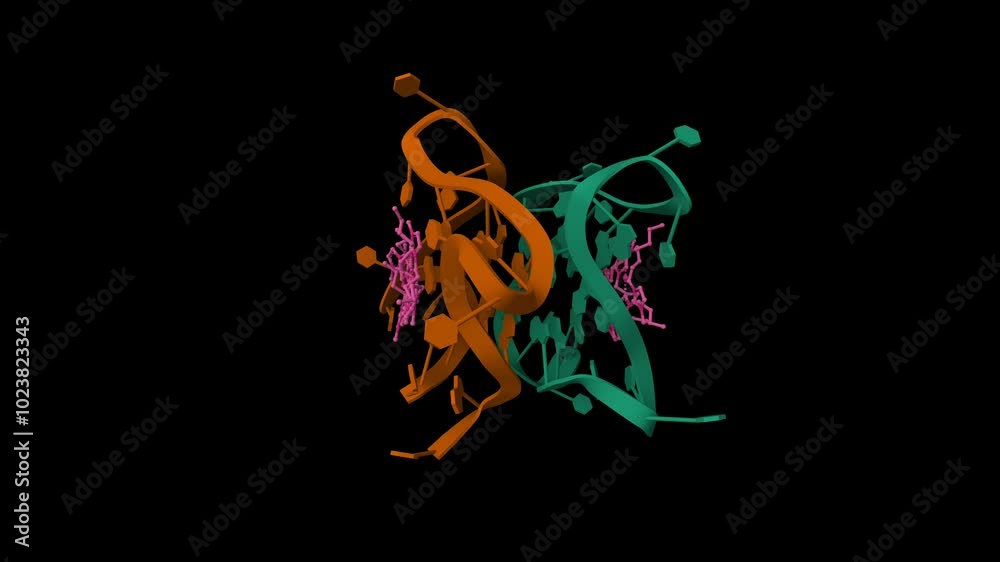Interaction of a gold(i) dicarbene anticancer drug with human telomeric ...