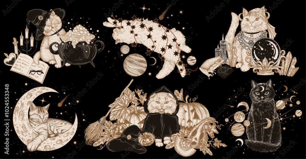 Vector set of 6 magical cats. With a cauldron of potions, in space, in ...