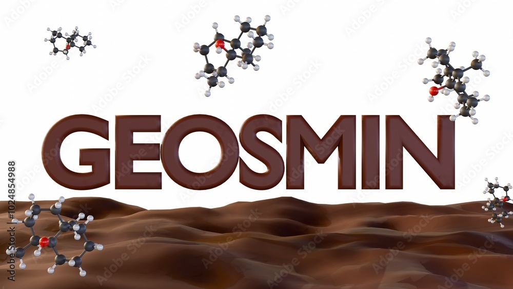 3d rendering of word "GEOSMIN" written in bold, 3D letters and chemical ...
