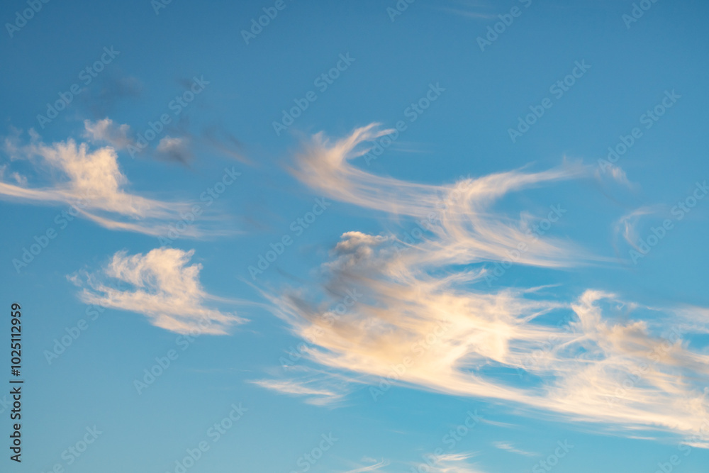 Cirrus uncinus / Ci unc / Clouds, Honolulu International Airport ...