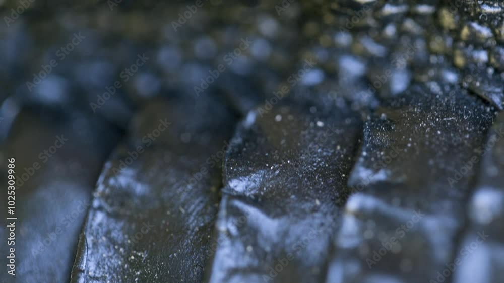 Ostrich leather background texture close up. Textured background of ...