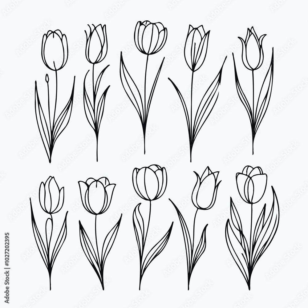 set of contour spring flowers line art floral, leaves black and white ...