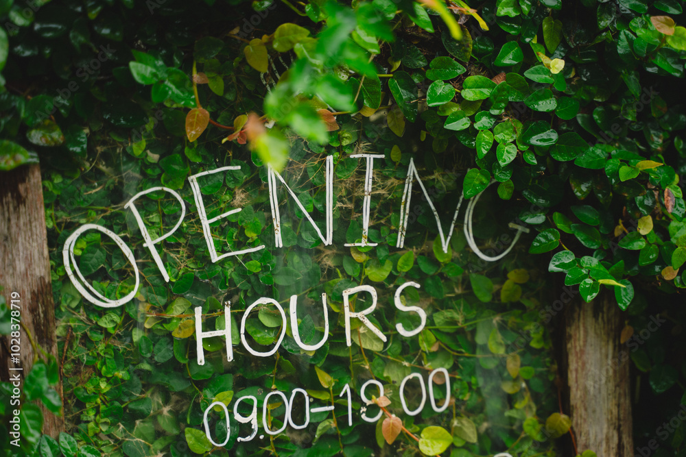 the open shop displayed vibrant signs inviting all to explore local ...