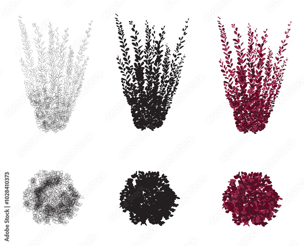 Side and top view illustrations of shrubs, designed for landscape ...