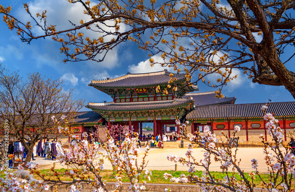 Gyeongbokgung Palace, a famous tourist attraction in Seoul, South Korea ...