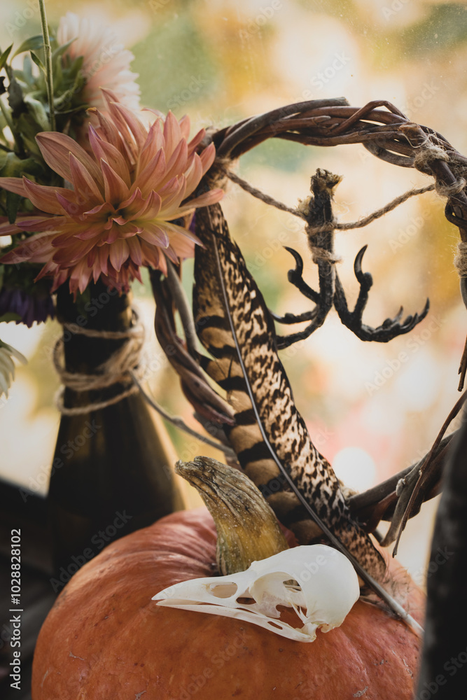 Atmospheric autumn altar. Dry birds feather, dry claws and skull ...