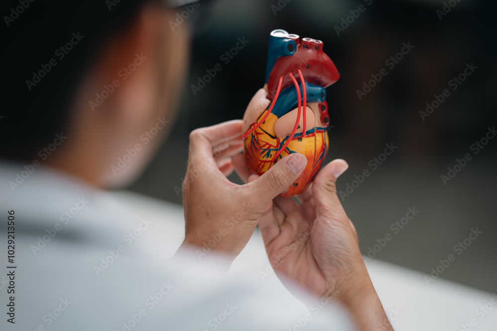 Cardiologist Providing Comprehensive Health Care, Patient Exams and ...