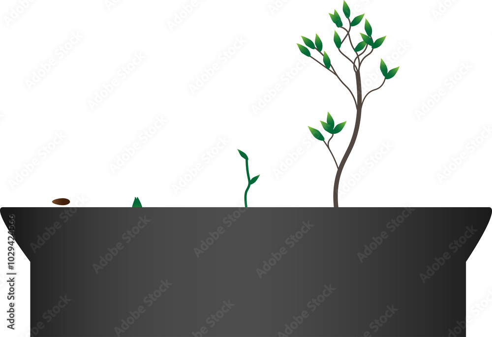 process growth plant from seed to tree Stock Illustration | Adobe Stock