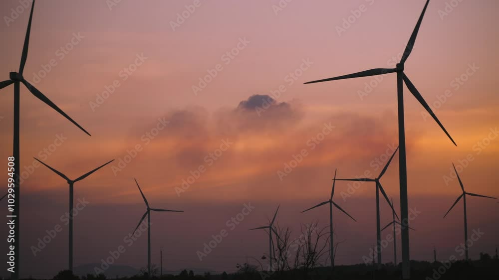 Beauty in nature of the windmill farm at sunset with the golden light ...