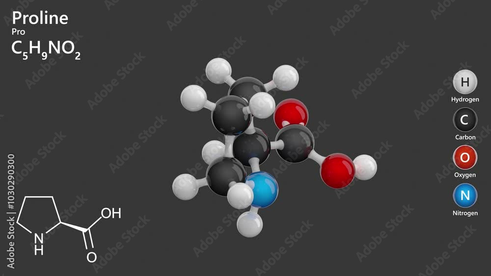 Molecule of Proline (C5H9NO2) is an amino acid important for protein ...