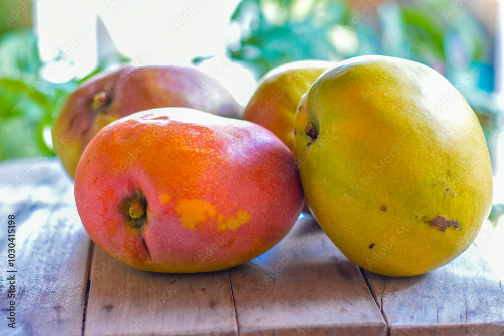 Manga é um fruto do tipo drupa produzido por uma árvore chamada ...