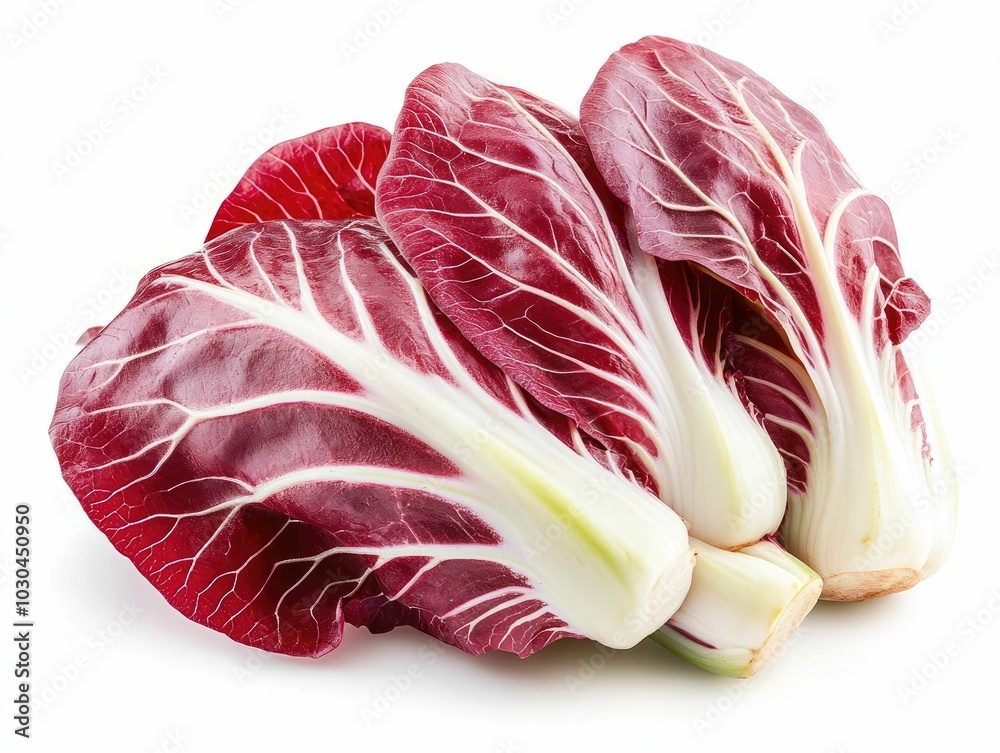 Close up of a whole radicchio vegetable featuring its distinct red and ...