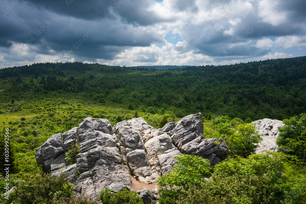 Rock formations in front of low forest-covered mountains in Grayson ...