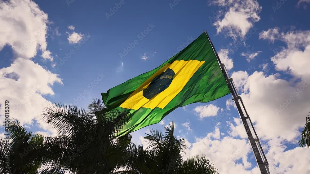 Brazil flag, Brazilian flag, National flag, Flag of Brazil, Waving flag ...