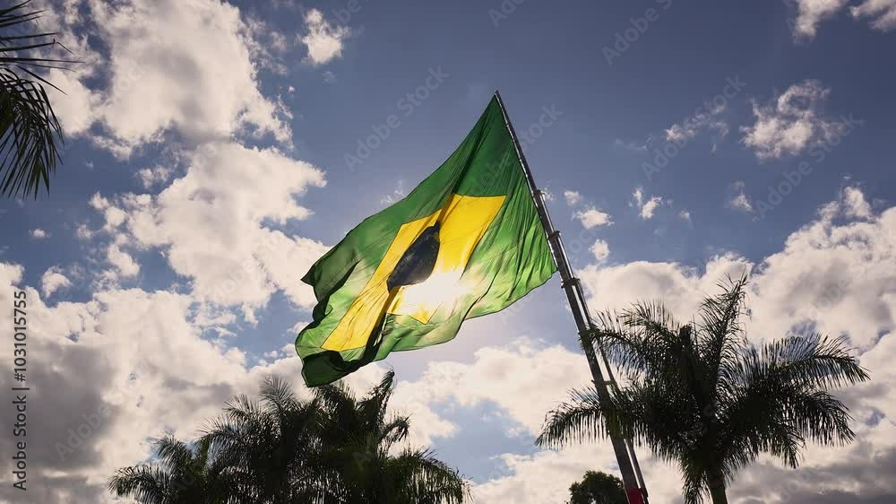 Brazil emblem, National symbol, South America, Waving in the breeze ...
